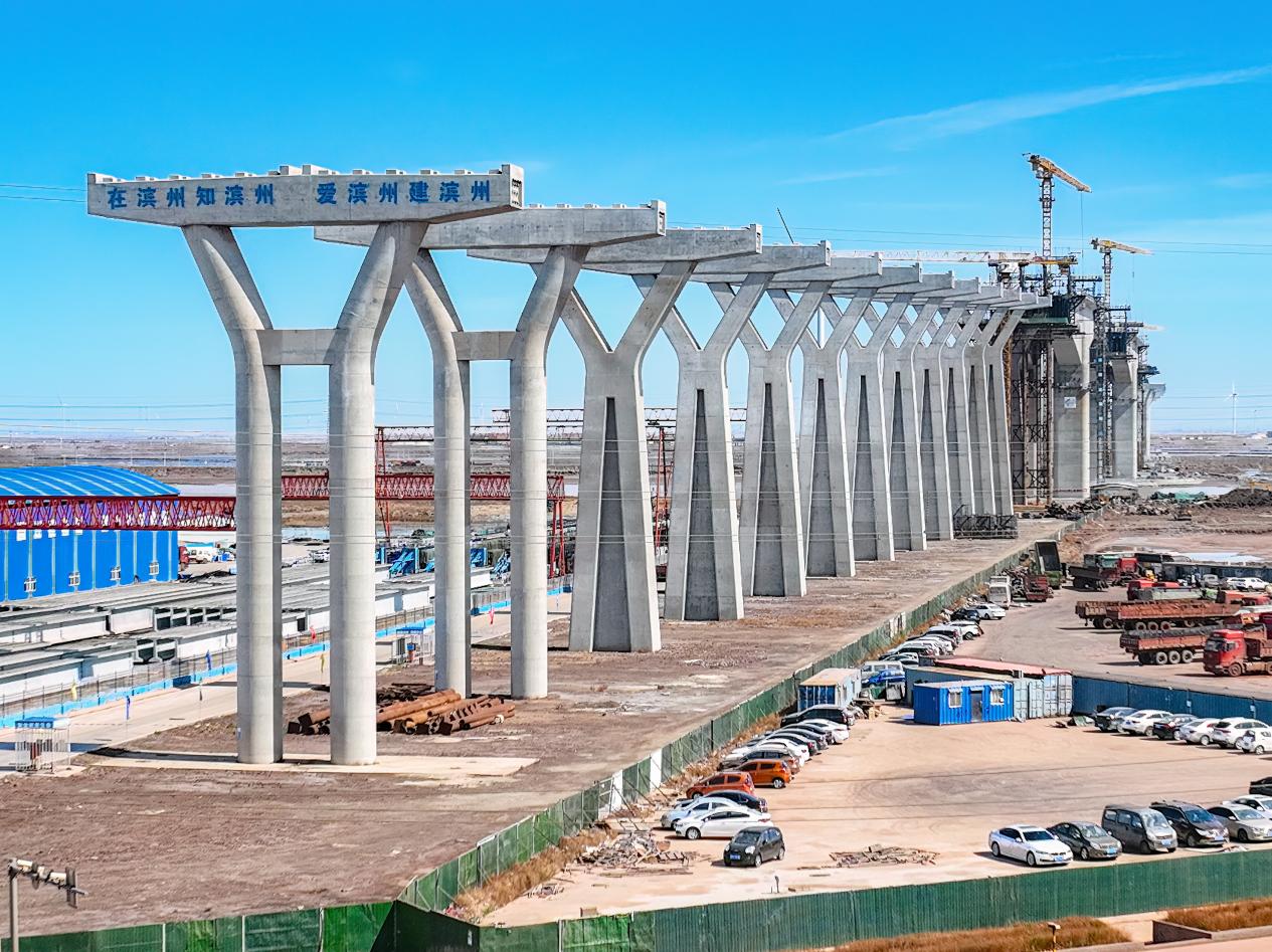 G228丹东线滨州段套尔河特大桥加快建设-新华网